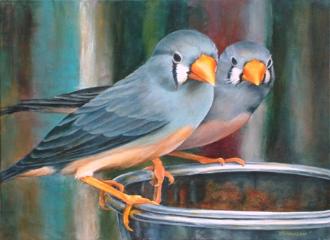 Grace Swanson l Finches